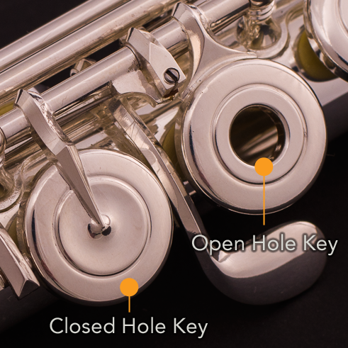 North Bridge Instruments | Educational